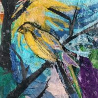Original art by Sara Codd – A collection of artwork